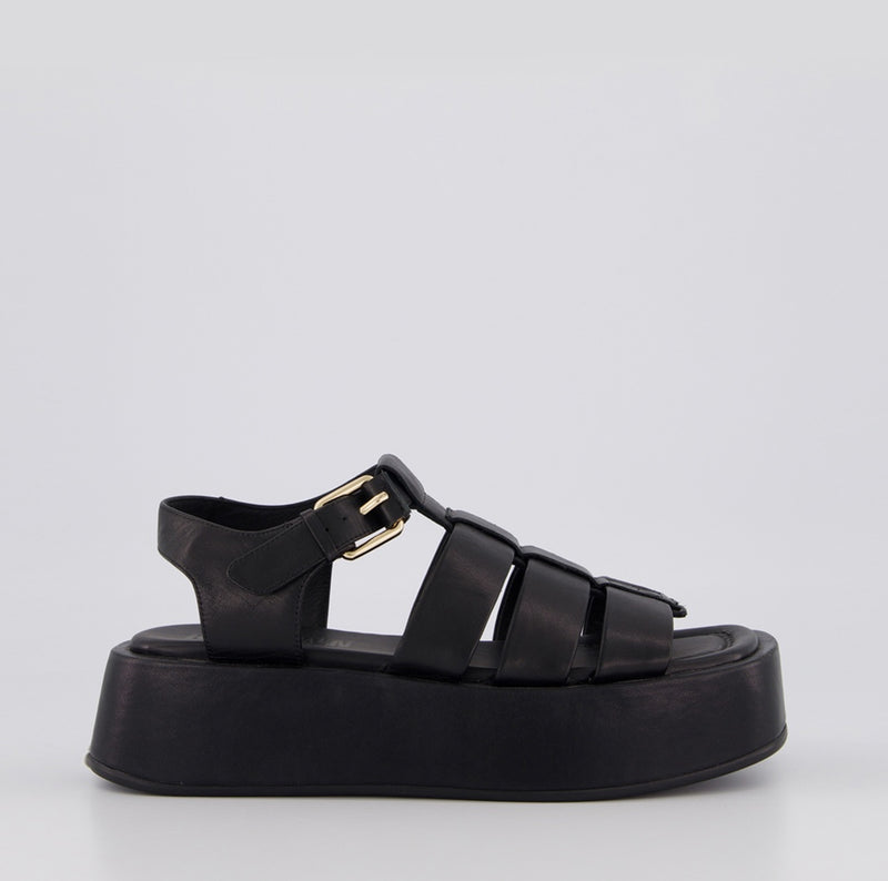 Bronwyn Bailey Sandal - Black – A&C Homestore